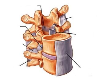 Simptome și tratament al osteocondrozei coloanei vertebrale lombare ...